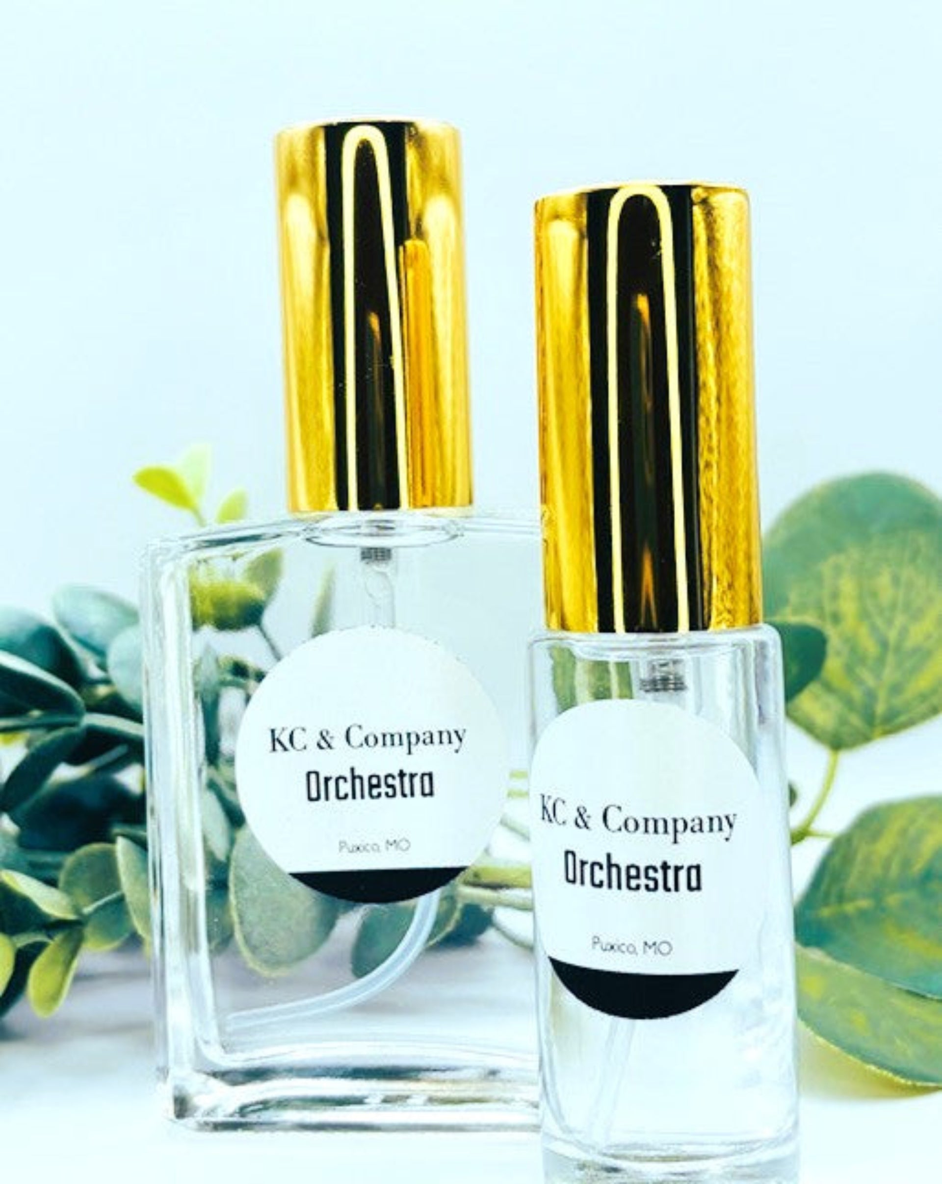 KC & Company Perfume Shop